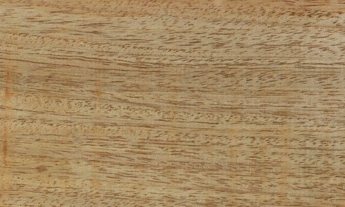 Niangon | Vela S.r.l.